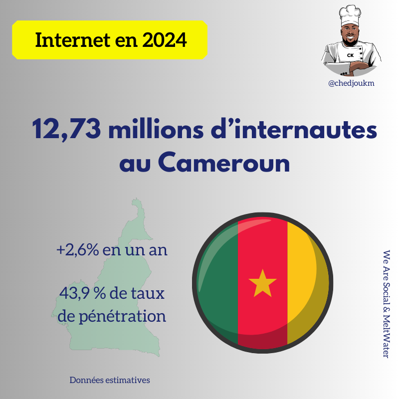 Chiffres Internet et Réseaux sociaux au Cameroun (2024) – Le Storytelling du Community ...